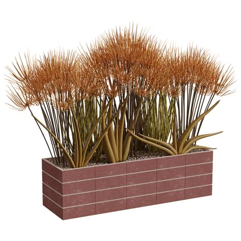 Potted Ornamental Grasses 3d Model A23d