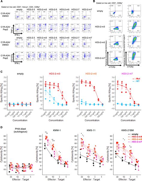 Detection Of Mutant Antigen Specific T Cell Receptors Against Multiple Myeloma For T Cell