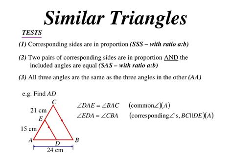 Test Triangle