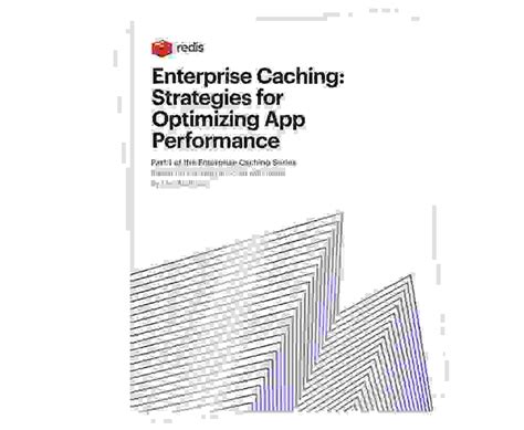 使用企业级缓存 Redis 提升应用程序性能 Redis 中文