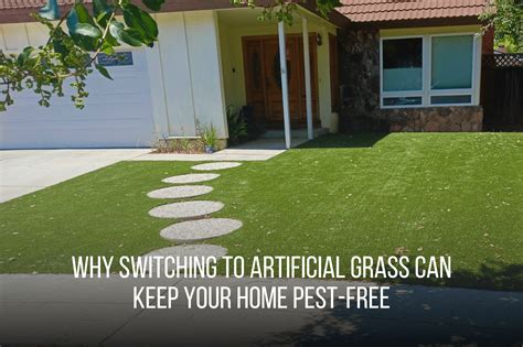 How Artificial Grass Help With Fleas Ticks And Other Pests