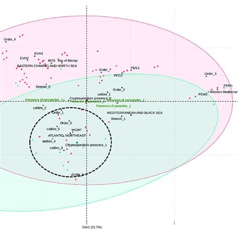 Multiple Correspondence Analysis The Cluster Analysis Explained 41 Download Scientific