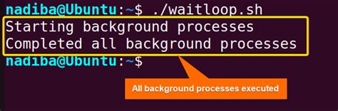 Bash “wait” Command In Process Management 6 Examples Linuxsimply