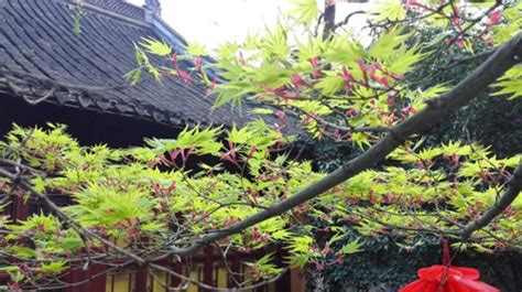 金陵清凉院文益禅师语录 清凉院答问13 南京清凉寺