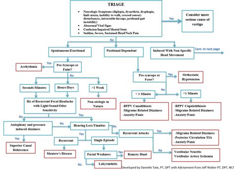 History Algorithms Vestibular Today