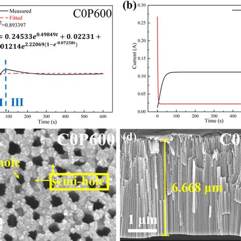 Anodic Tio2 Nanotubes After 5 Min Anodization In Ethylene Glycol Eg