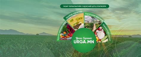 Монгол Ногоо төсөл Mon Vegi Project БУУРЦАГТ НОГООНЫ ЭРҮҮЛЖҮҮЛЭХ АЧ ТУС Шош буурцаг нь