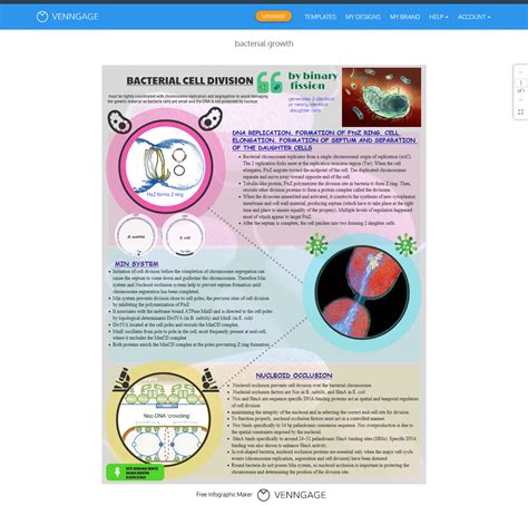 BACTERIAL CELL DIVISION