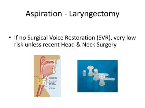 Ppt Laryngectomy And Tracheostomy Emergency Management And Patient Perspective Powerpoint