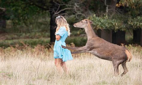 Doh Moment Wild Deer Attacks Young Woman In Richmond Park After She