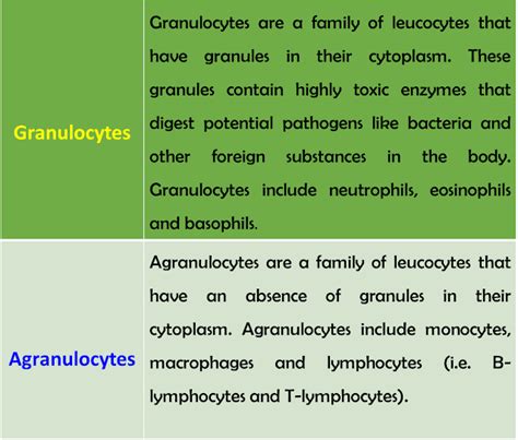 Module 1 Introduction To Haematological System