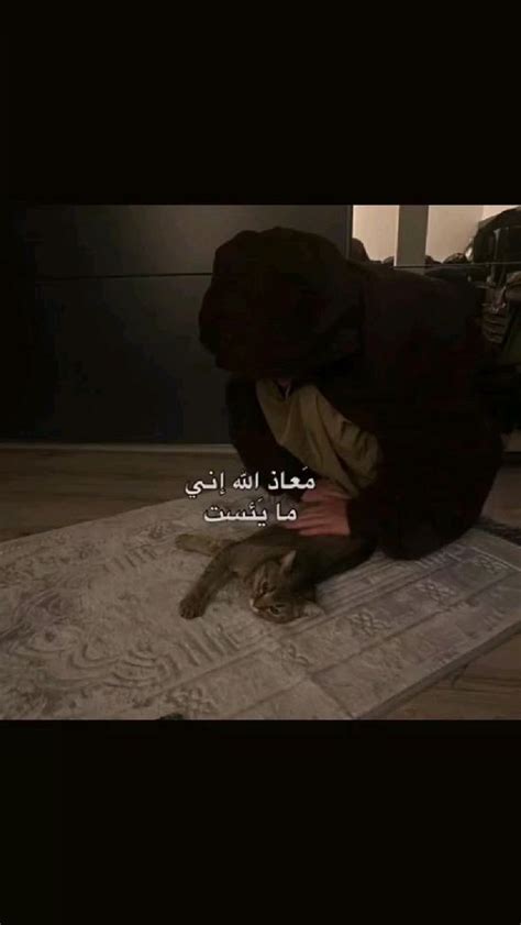 Pin Van Basmala Salah Op فعلاً ️