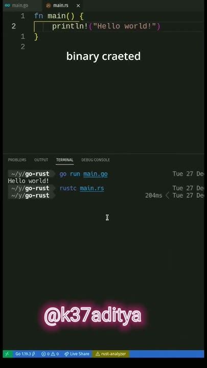 Go Vs Rust🥀 Rust Go Golang Rusty Ai Python Ruby Memory