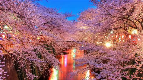 Japan Wallpapers Best Wallpapers