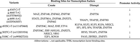 Effects Of The Promoter Region Variants Of The Cited2 Gene On Tfbs Download Scientific Diagram