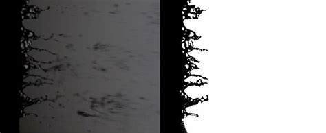 original left and segmented right image using active contour method