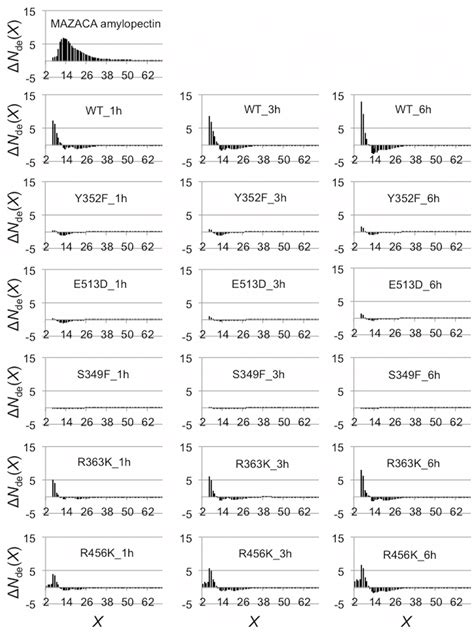 Face Characterization Of The Branched Glucan Products These Products Download Scientific