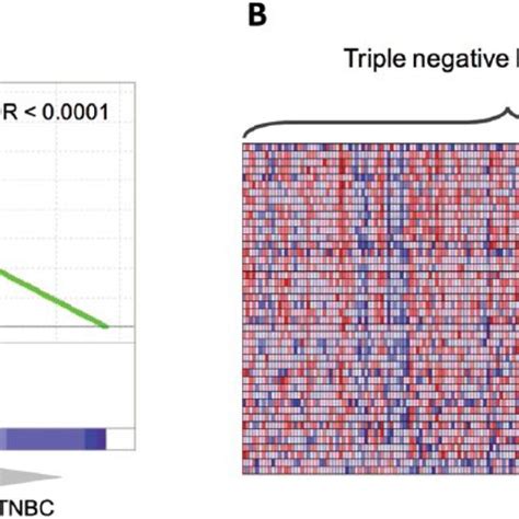 Gene Set Enrichment Analysis Gsea Plot For The Proteasome A Gsea Download Scientific
