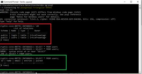 Nodejs Unable To Connect To Heroku Psql Database Using Knexjs