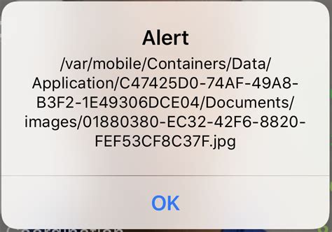 [ios] don t assume that the absolute uri returned will persist · issue