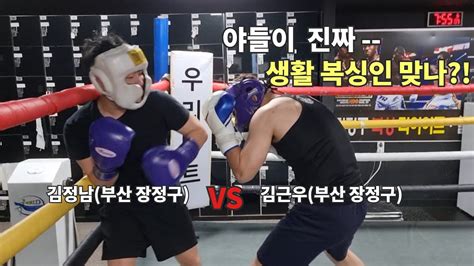 야들이 진짜 생활 복싱인들 맞나 생체복싱 프로복싱 권투 아마추어 스파링 Youtube