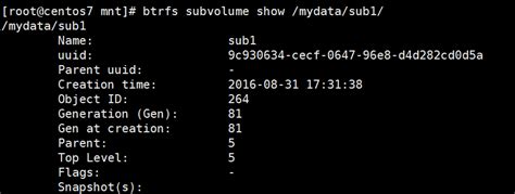 Linux新特性之btrfs文件系统 Csdn博客 Linux新特性之btrfs文件系统 Csdn博客