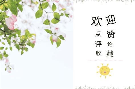 新手必备Vue项目安装依赖包npm install报错的解决方案 ByteZoneX社区
