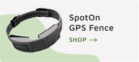 Spoton Fence Most Accurate Wireless Dog Fence And Gps Dog Collar