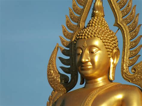 거룩한 검정색과 흰색 고대의 고요한 고요함 고타 마 불상 돌 동부의 동상 명상 문화 유산 문화적 믿음 법 부처 북미 불교 사원 상세한 상징