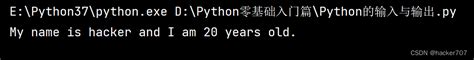python的输入与输出