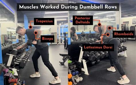Dumbbell Rows Maximize Your Back Gains With This Guide