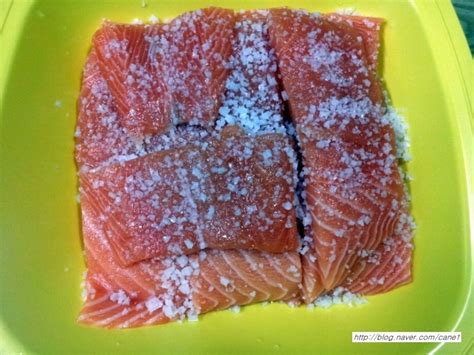다시마로 만든 연어숙성 코스트코 생연어로 만든 곤부즈메 레시피 연어요리 숙성연어 만드는법