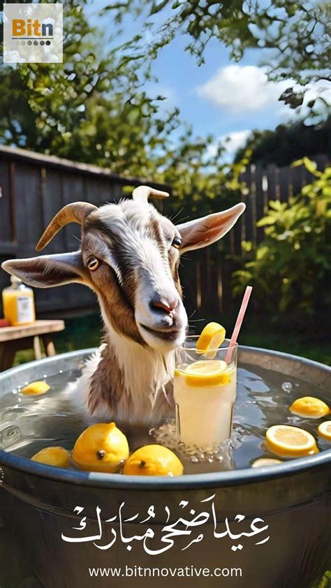 Hammad Hamid On Linkedin Happy Eid Ul Azha