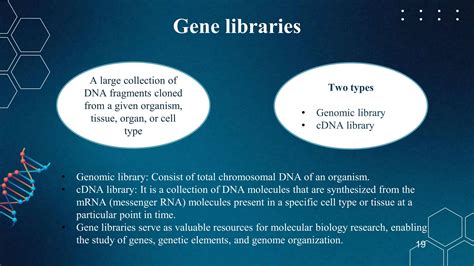 Genomic Library Construction Using Lambda Phagepptx Ppt