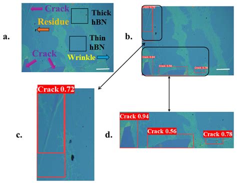 Automated Crack Detection In 2d Hexagonal Boron Nitride Coatings Using Machine Learning