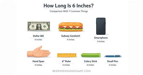 What Matches A 6 Inch Length Everyday Examples 2026