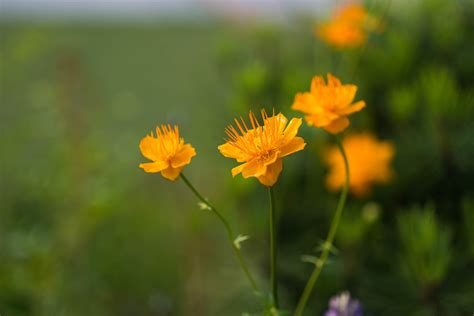 라로 시작하는 이름 유명한 라로 이름을 확인하세요