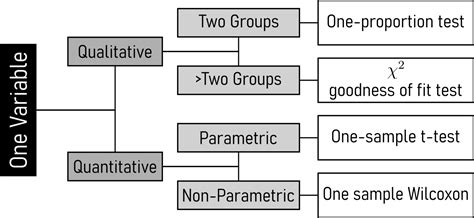 4 Inferential Statistics Advanced Statistical Methods And Optimization