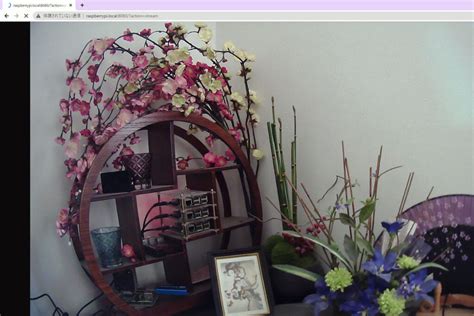 Raspberry Pi Mjpg Streamer