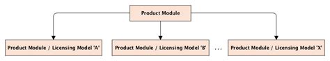 how to plan licensing scheme for your product netlicensing wiki