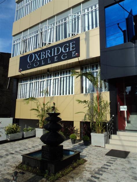 Dpcode Lk සමඟ එකතු වෙලා ළමයින්ට ප්‍රශ්න විසඳන්න පුරුදු කරන්න ශ්‍රී ලංකාවේ ප්‍රථම වරට වයස