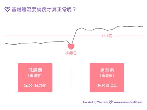 教妳判讀基礎體溫表，排卵就看這條線！（內有基礎體溫表下載）｜備孕小知識｜小暖健康・warmie Health