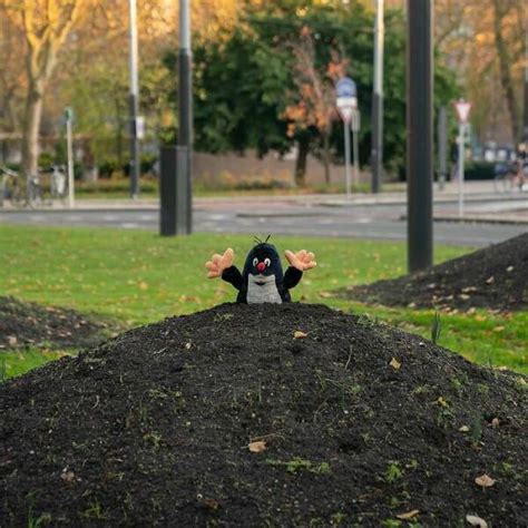 Revitalizing Public Spaces With Creative Street Art 28 Pics