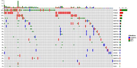 Draw Separate Right Annotation Plot For Each Column Split Section In Oncoprint · Issue 588