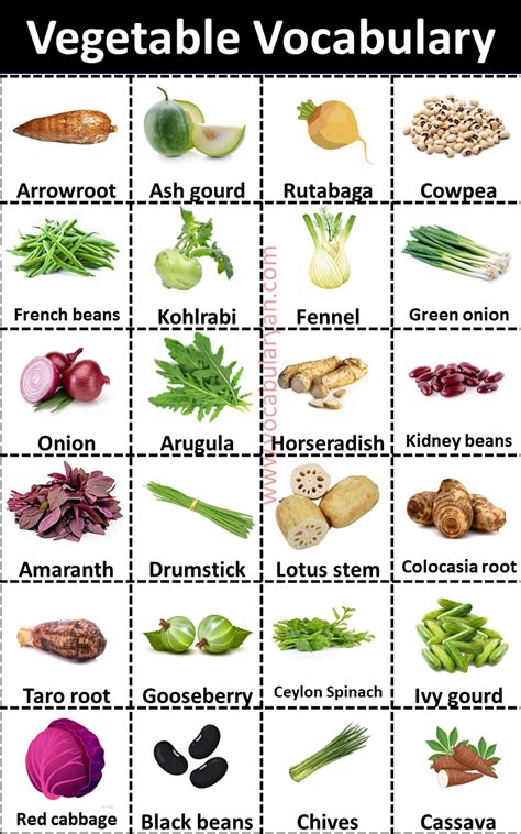 Power Vegetables List At Marsha Shain Blog