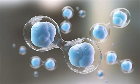 Researchers Awarded 15m To Create Stem Cell Predictive Model Penn