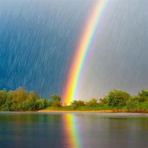 Rainbow After Rain Images Free Download On Freepik