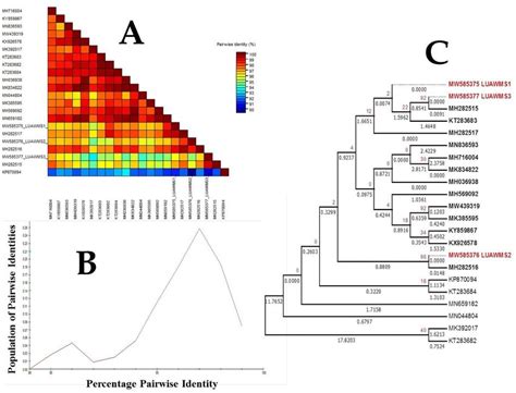 Pairwise Identity A Population Of Pairwise Identities B And