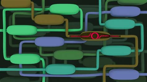 Refactoring The Genetic Code To Create Organisms Protected By A Genetic Firewall Mrc