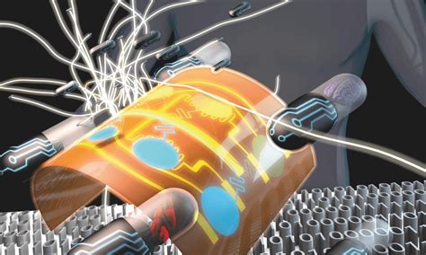 Microfluidic Devices For Affordable Personalized Healthcare [video] Advanced Science News